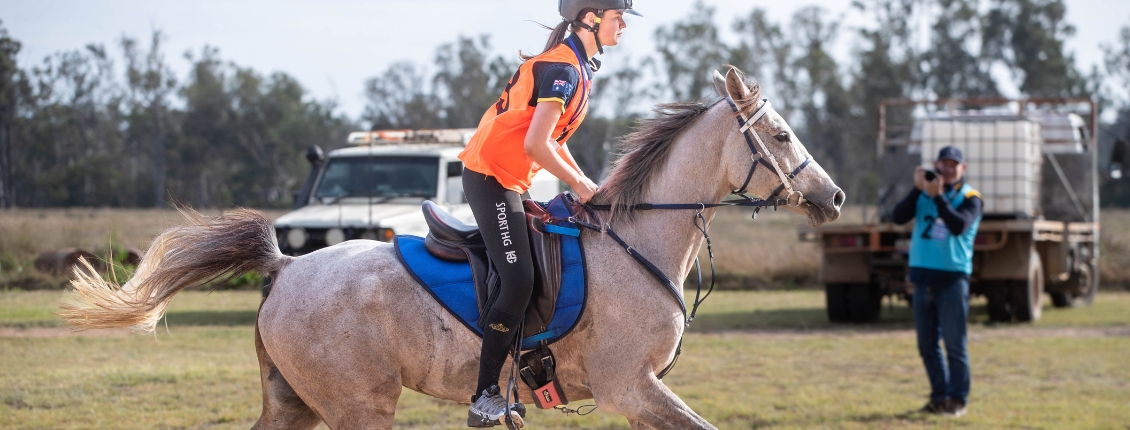 FEI Campus | Equestrian Australia